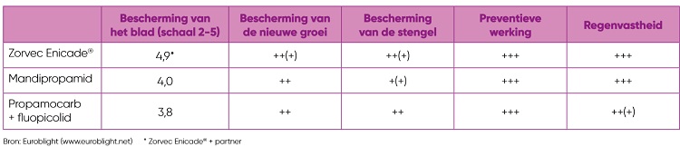 Zorvec Enicade: De beste en langste bescherming tegen Phytophthora