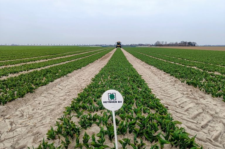 akkerbouwmachines op een Vlaams akkerbouwbedrijf