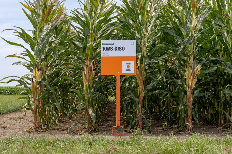 Online veiling landbouw- en grondverzetmachines Vavato van start